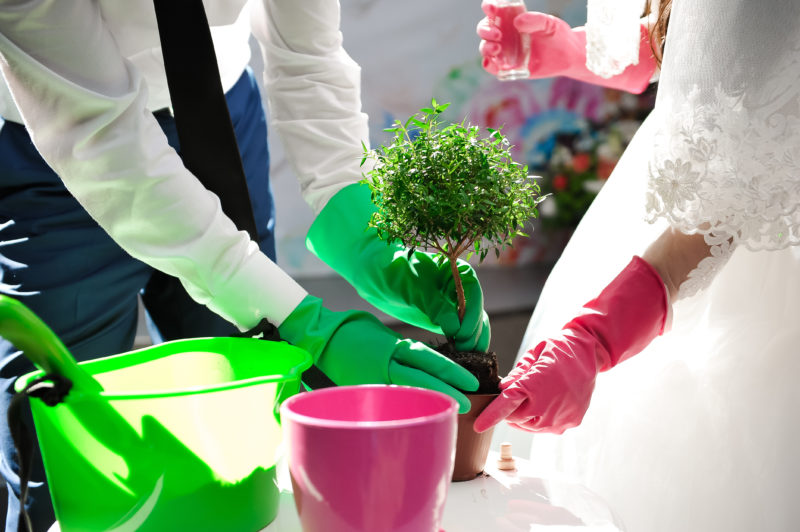 Finding the Perfect Unity Ceremony for Your Wedding - ADAGIO